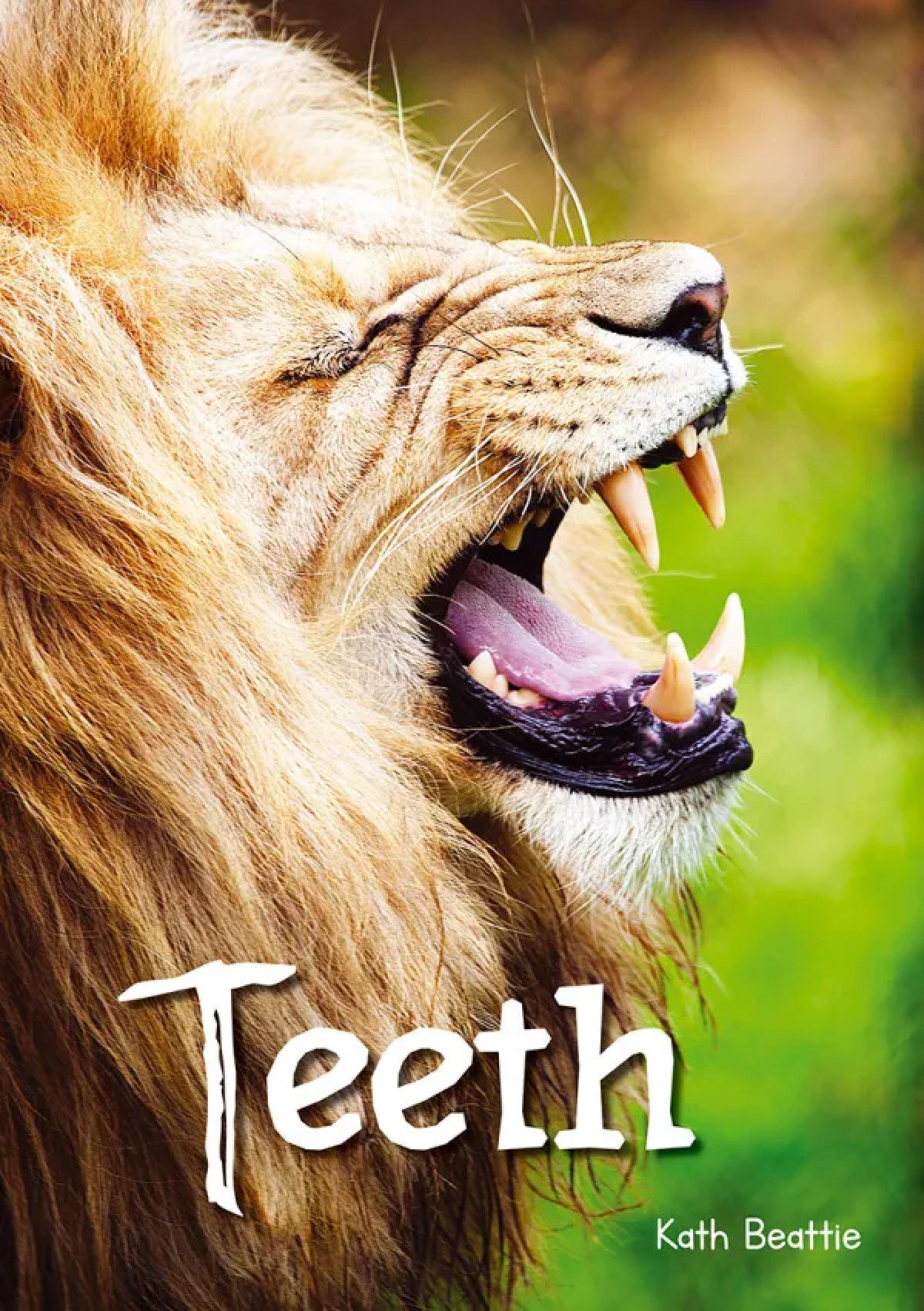 Reading Road Set 2 - Teeth | Read Pacific | Reading Books & Resources ...